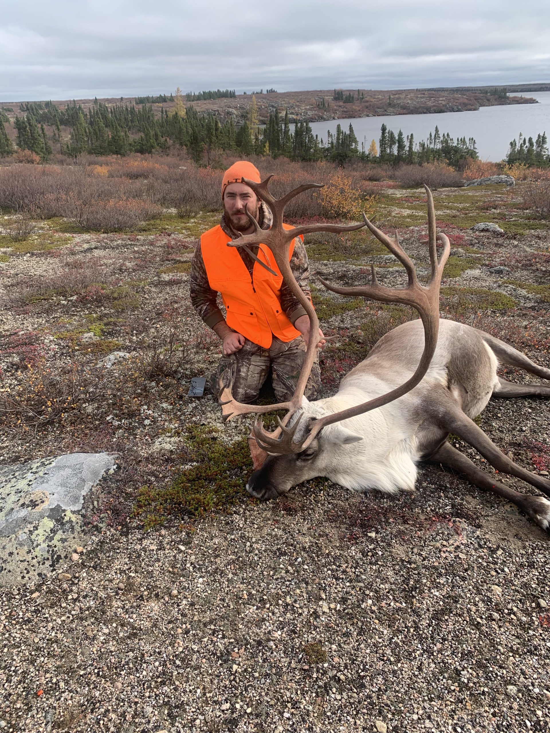 One Caribou Hunt now Available Sept. 12-18. - Hunting North